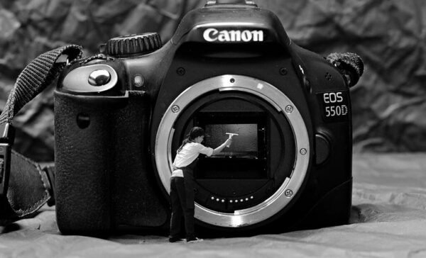 全畫幅、APS-C、M43 是什麼？ | 3 分鐘搞懂相機的感光元件 - Tim Ting Photography